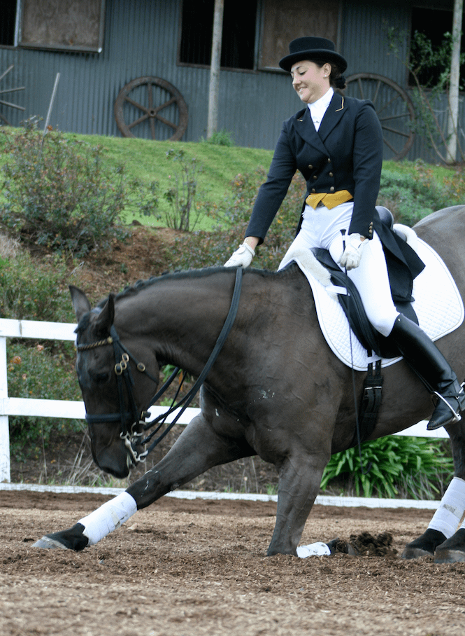 Tamb bow small - Dressage Mastery