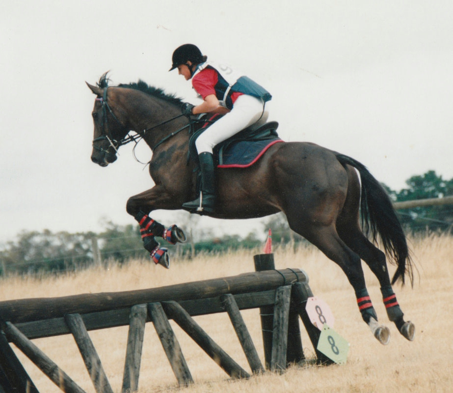 Raven - Dressage Mastery